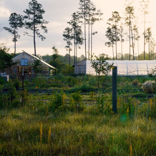 Indigenous Roots of Climate Farming â€“ Mother Earth News